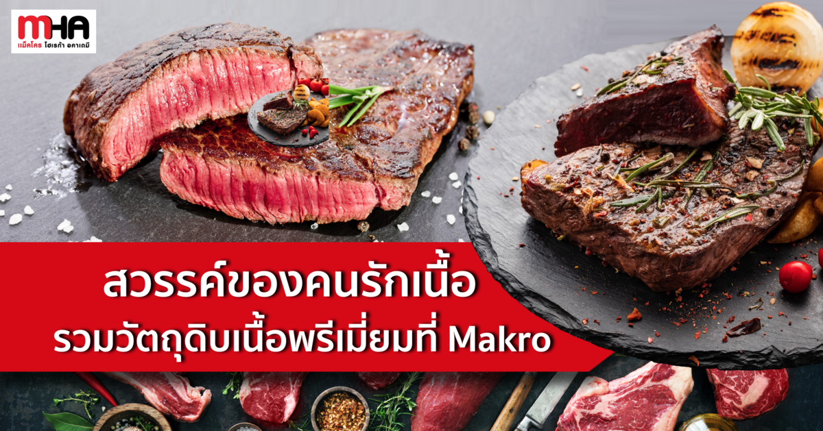 สวรรค์ของคนรักเนื้อ รวมวัตถุดิบเนื้อพรีเมี่ยมที่ Makro - บทความ - MHA